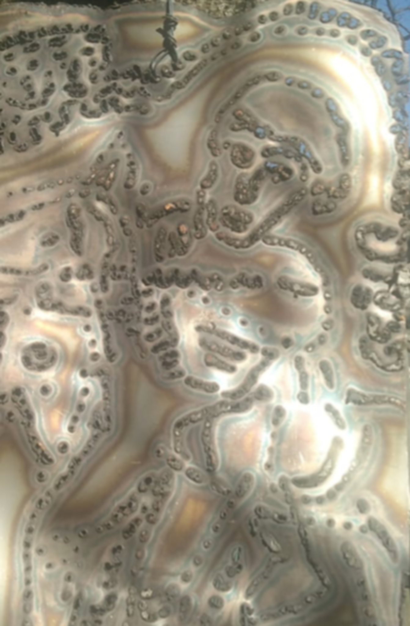 inTalk mit Barbara Streiff im Schloss Sargans CH: Zeitgeist2020, Mythen ...