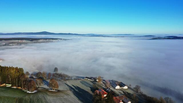Schnappschüsse: Die Gemeinde Haibach von ihrer schönsten Seite - Urfahr ...