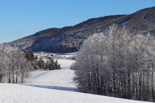 KULMSPITZE: HOCH HINAUF, zum AUSSICHTSTURM "KULMSPITZE" - Vöcklabruck