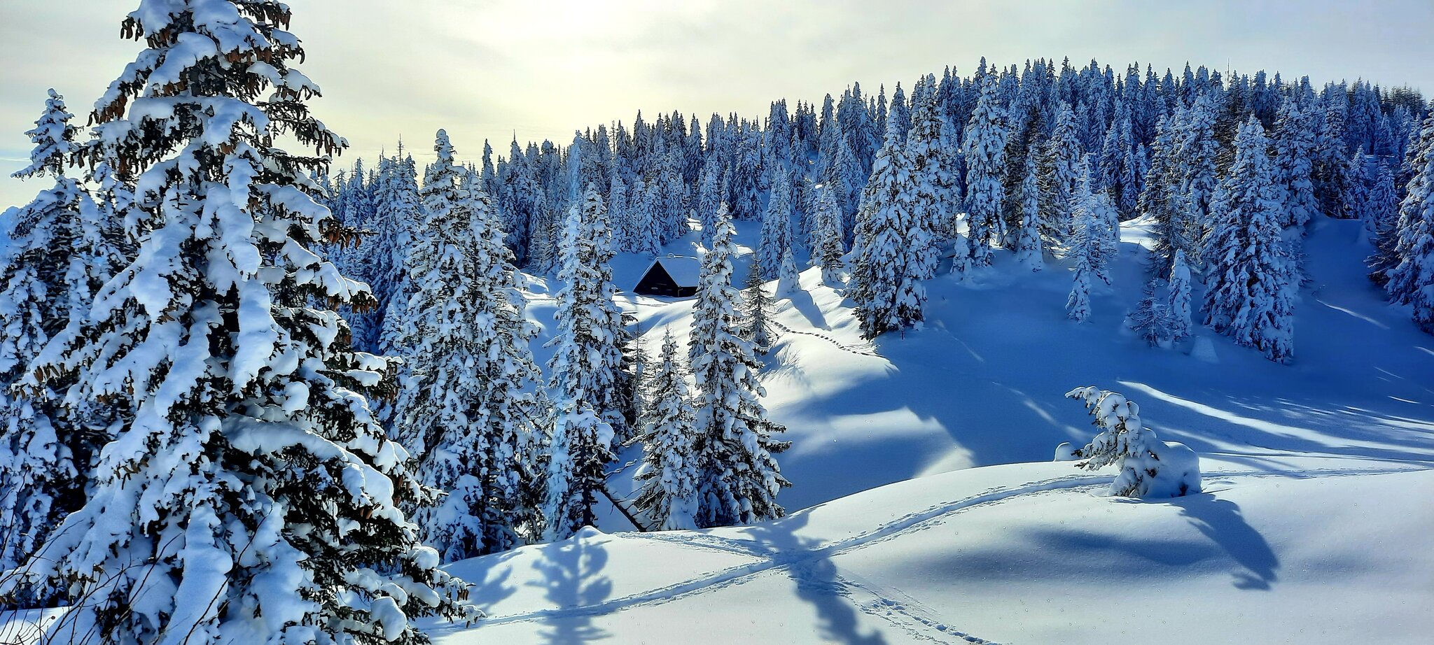 Winterwonderland am Dobratsch - Villach