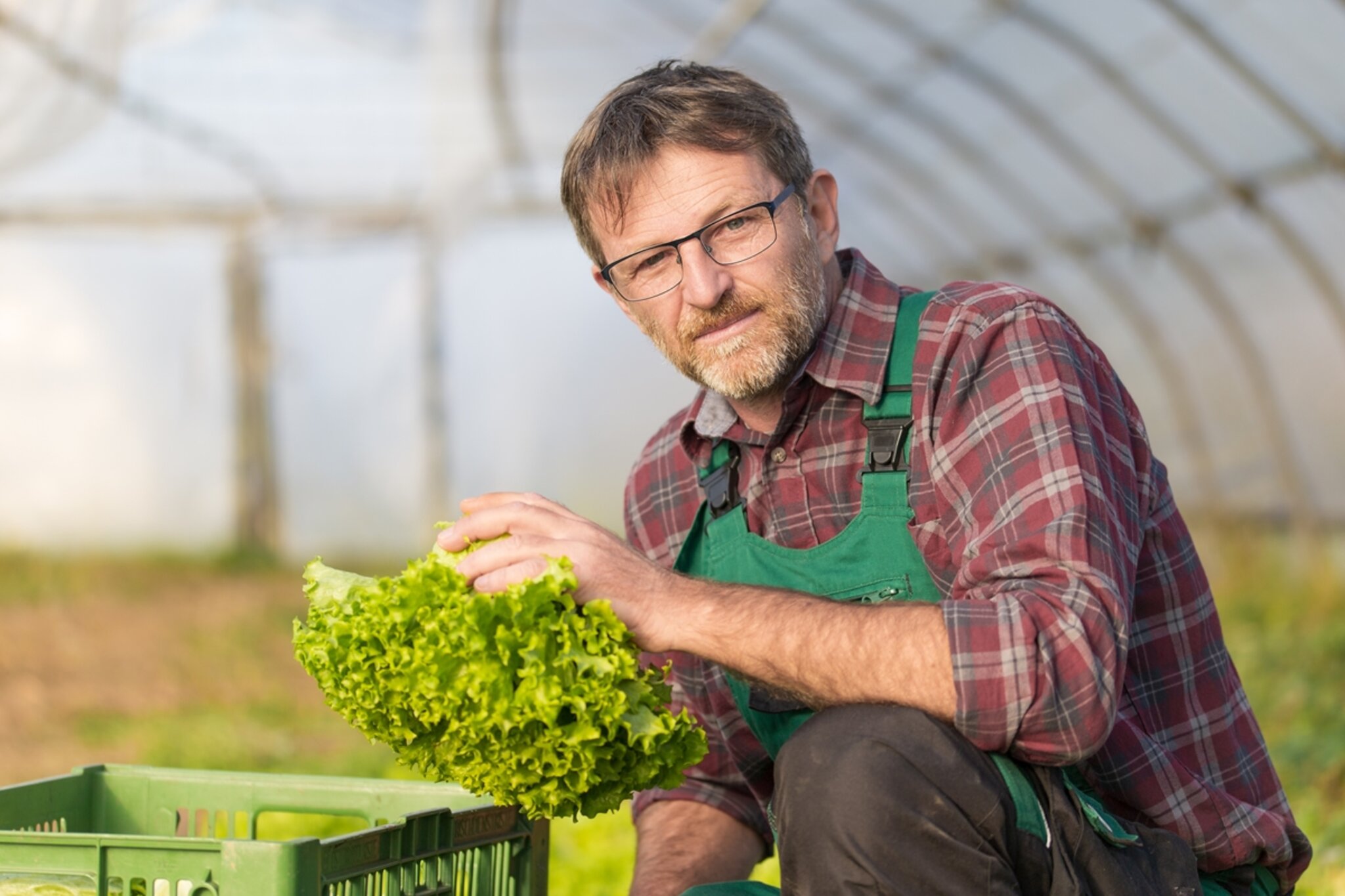 Kampf gegen schwarze Windmühlen: Oststeirer Andreas Lackner führt Grüne ...