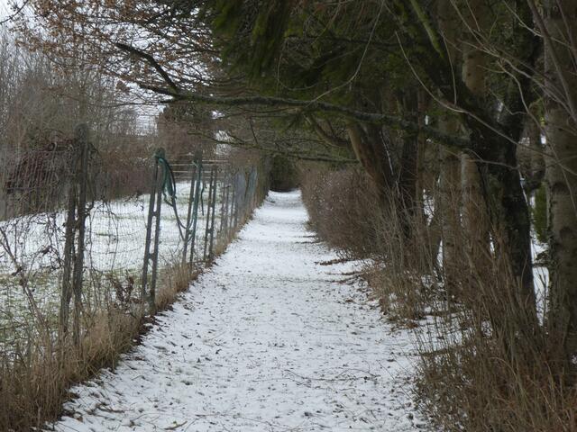 Verwaist im Winter..... - Eisenstadt
