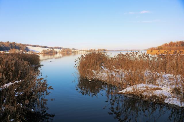 Naturerlebnisweg Obertrum am See: Kleiner Spaziergang am ...