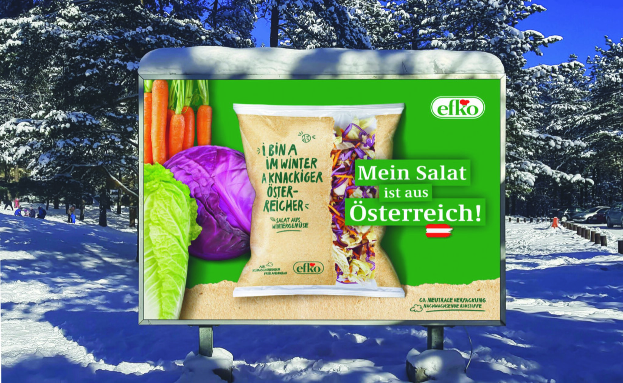 Ja zu OÖ: efko setzt bei Verpackung auf Nachhaltigkeit - Linz