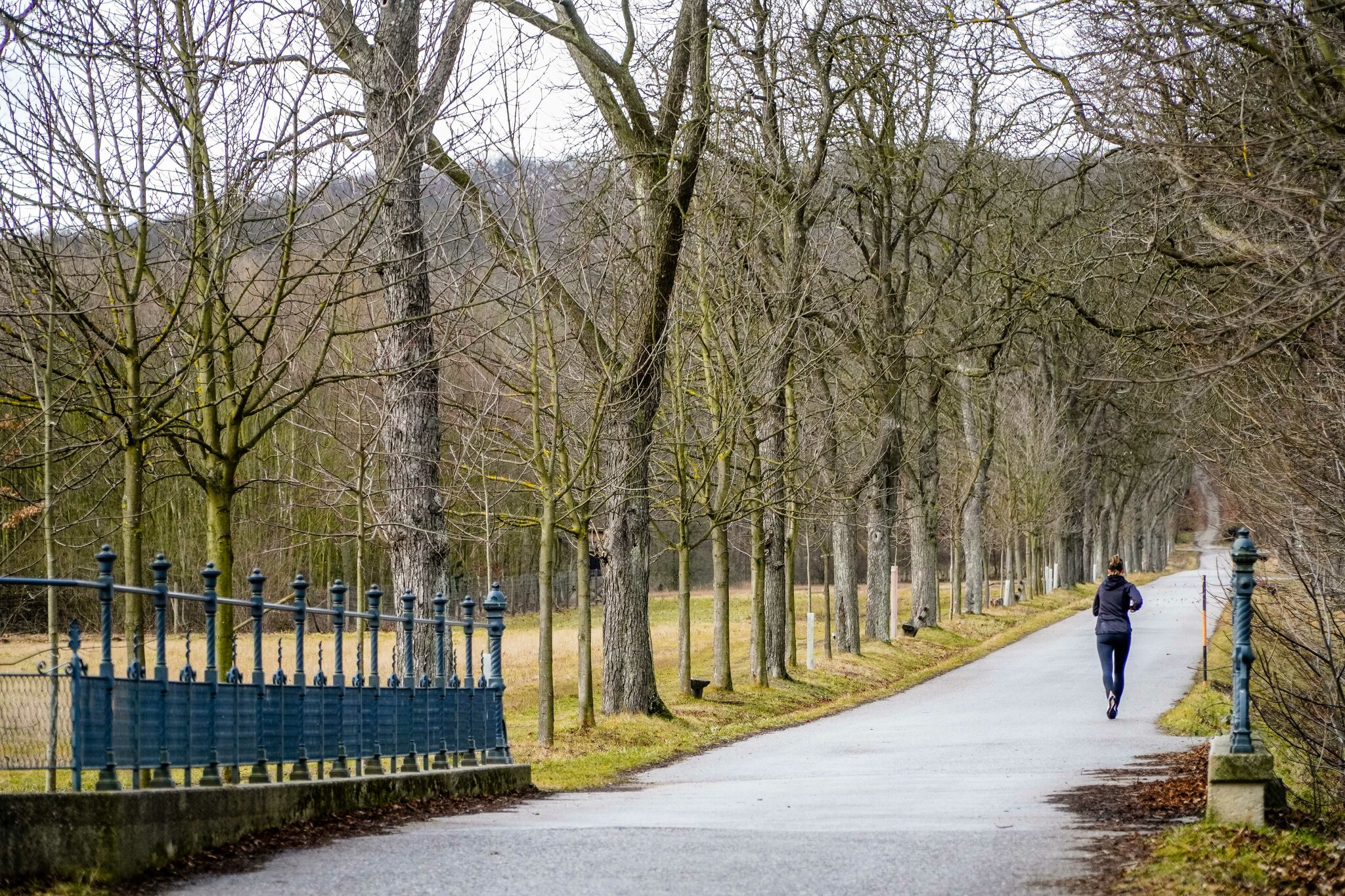 Winterpause zu Ende: Saisonstart im Lainzer Tiergarten - Wien