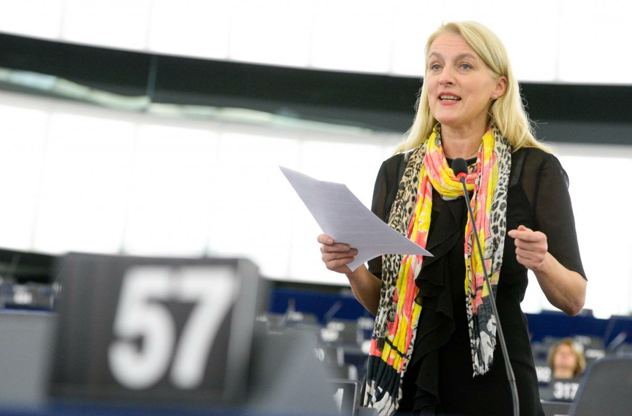 Europäisches Parlament: Evelyn Regner: „Zusammenhalten ist die Devise ...