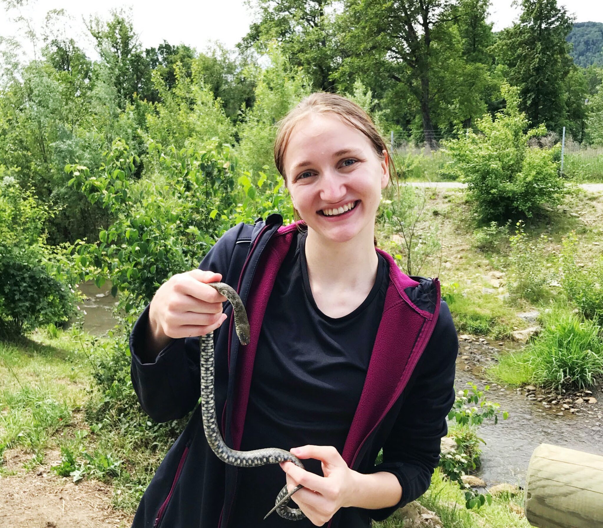 Eidechsenfauna Lavanttal: Sarah Greiner ist den Echsen auf der Spur ...
