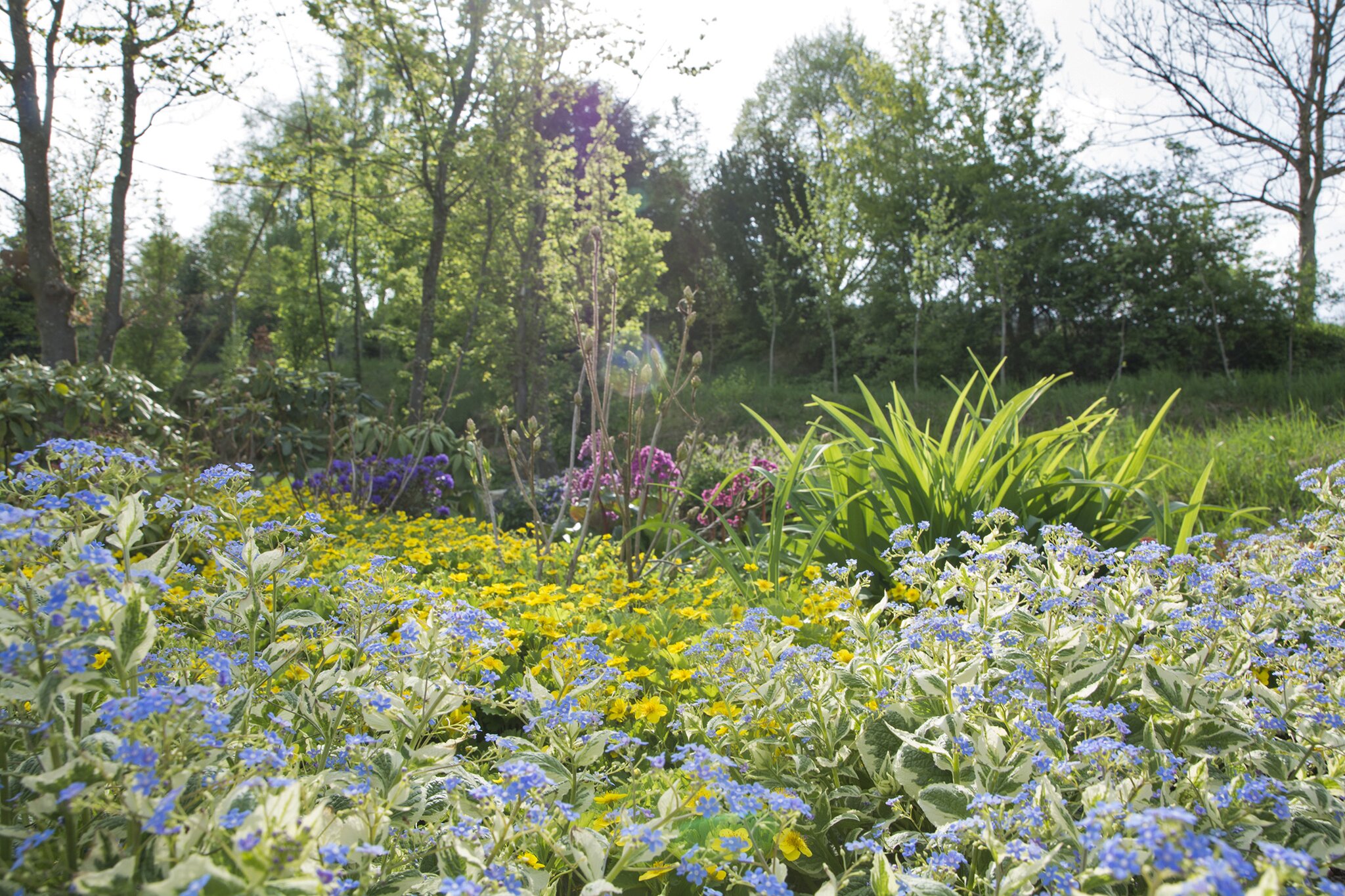 Start in die Gartensaison: „Den Garten zum Kraftort machen“ - Rohrbach