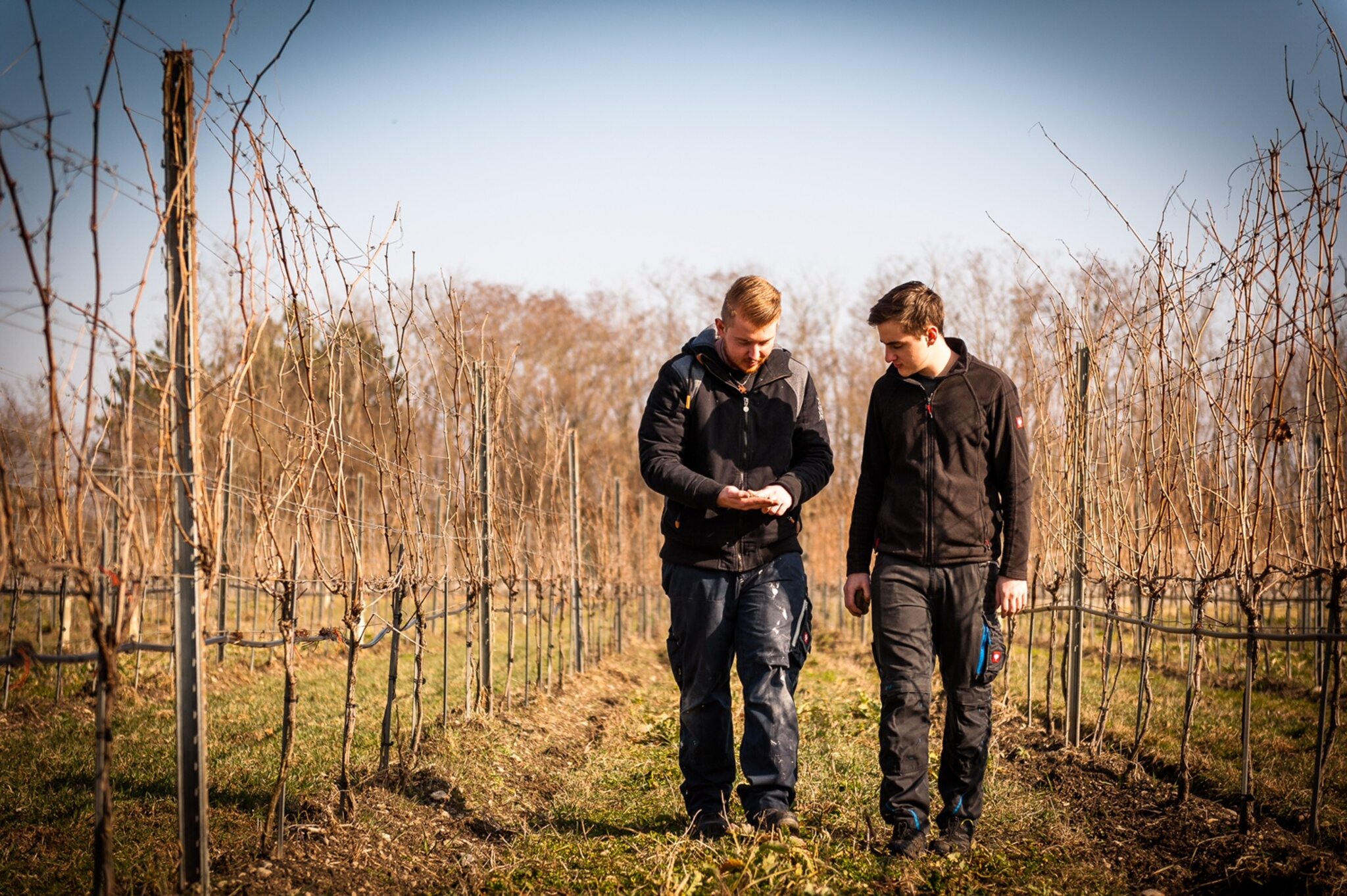 The First 2020 BIO vom Johanneshof Reinisch:: Nachwuchswinzer Sebastian ...