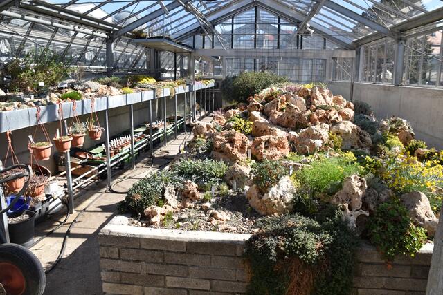 Frühlingserwachen in Innsbruck: "Bitte pflücken" im Botanischen Garten ...