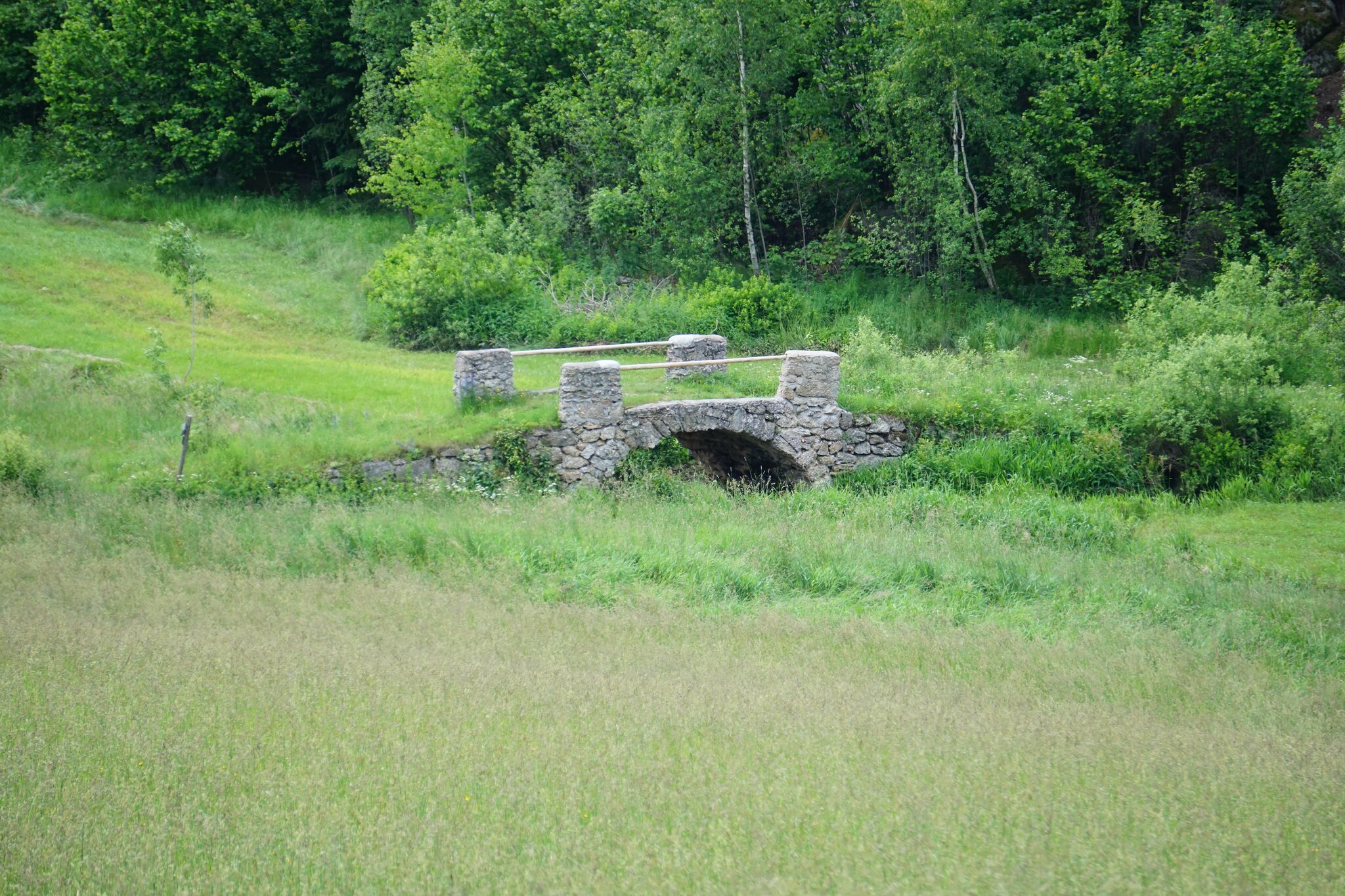 Wanderwege rund um Schönbach - Zwettl
