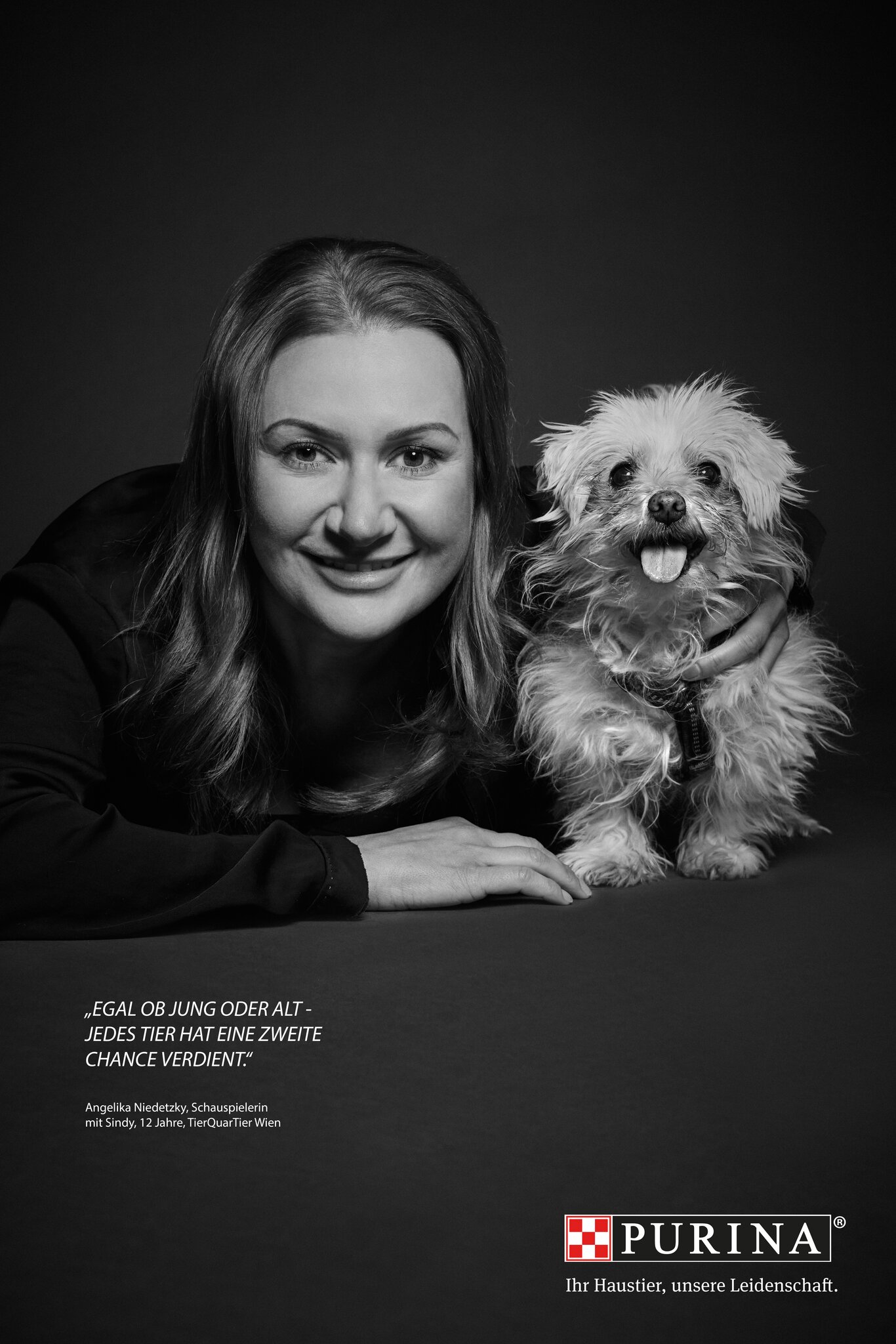 Am 15. April ist Purina Pet Adoption Day!: Tierische und prominente ...