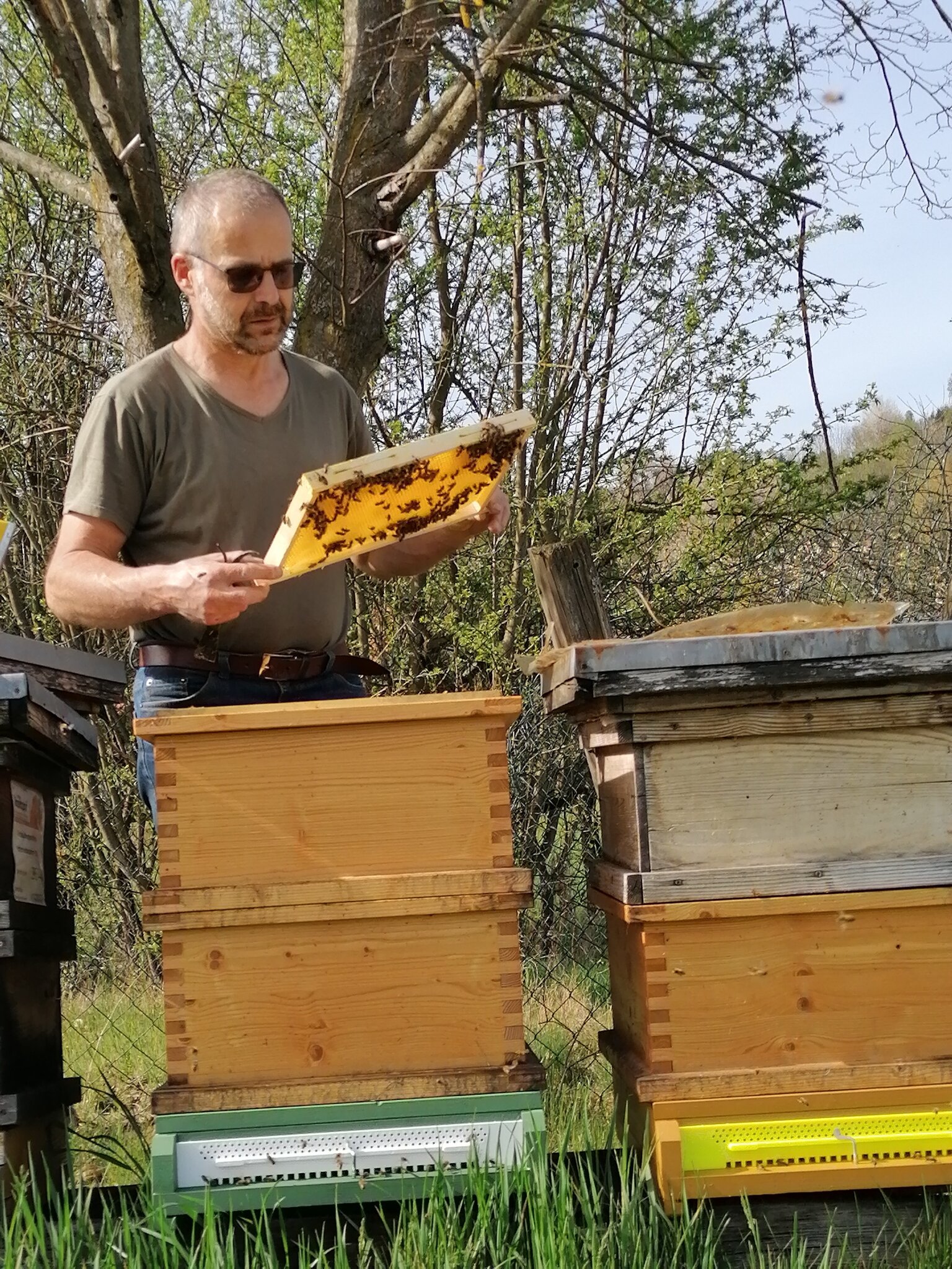 Ab-Hof-Messe Wieselburg: Regionale Produkte überzeugten bei den ...