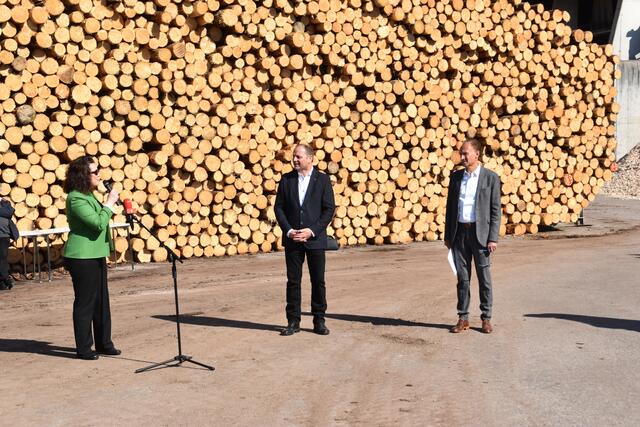 Wirtschaft: Binderholz verlagert Transport von Rundholz auf die Schiene ...