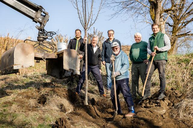 Naturjuwel: Tigringer Allee rekultiviert - Klagenfurt Land