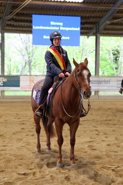 Burgenland: Landesmeister 2021 im Westernreiten gekürt - Burgenland