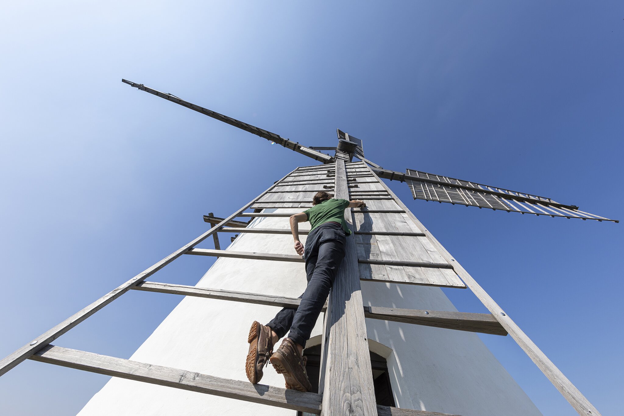 Ausflug ins Retzer Land: Ab 19. Mai erwartet die Retzer Windmühle ihre ...