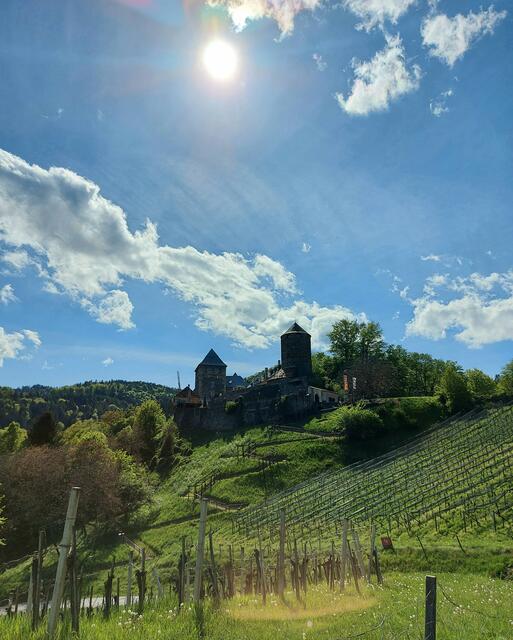 Auch die Steirer haben's schön!: Burg Deutschlandsberg - Deutschlandsberg