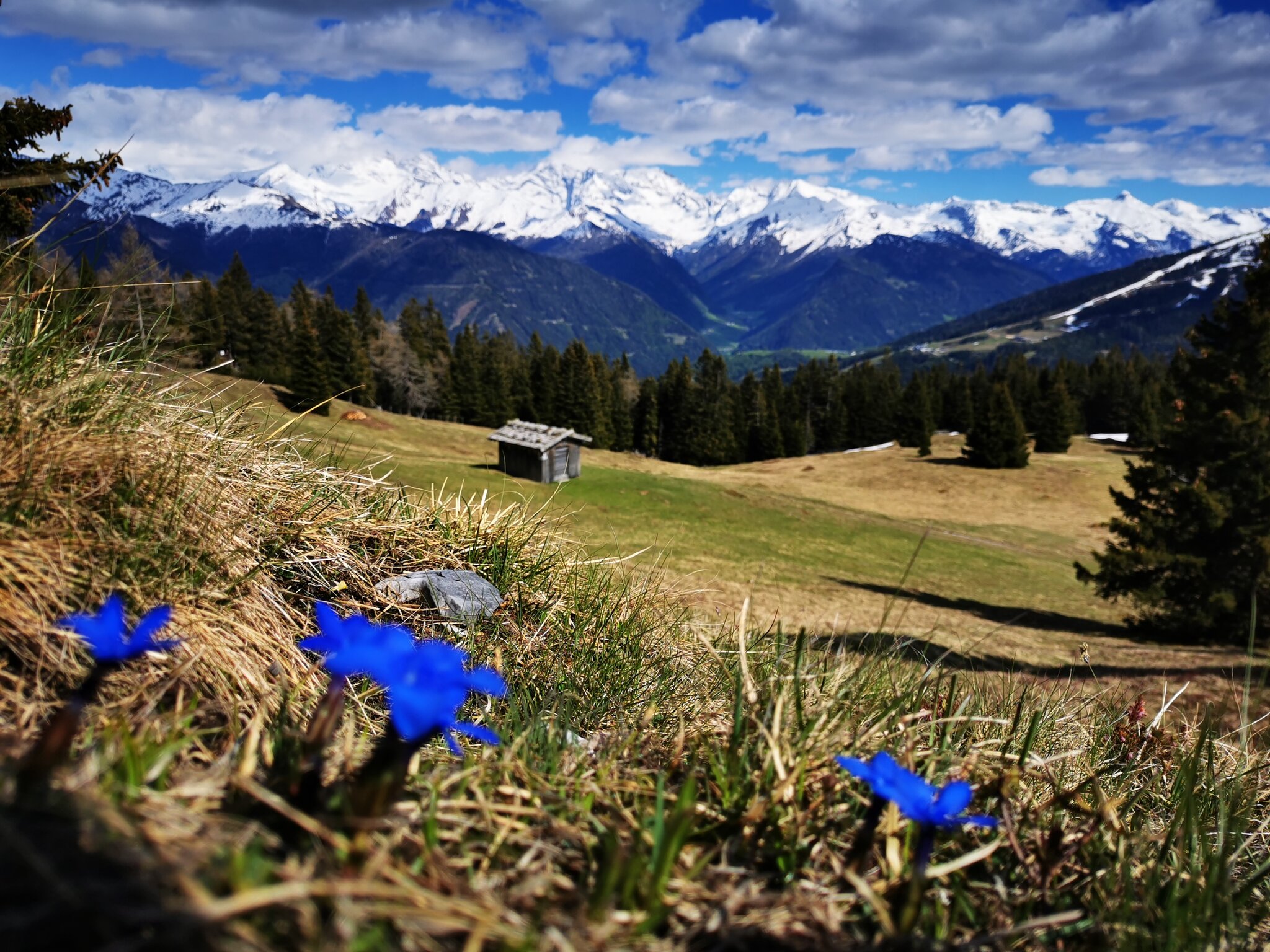 Temperaturen steigen an: Mit Juni beginnt endlich der Sommer