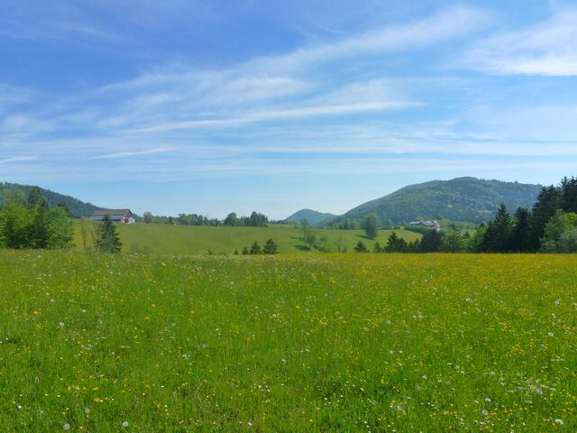 St. Anton an der Jeßnitz: Rainstein - Scheibbs