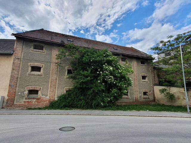 Himberg - Thema auf meinbezirk.at