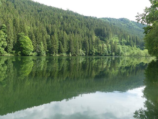 Goggausee - Thema auf meinbezirk.at