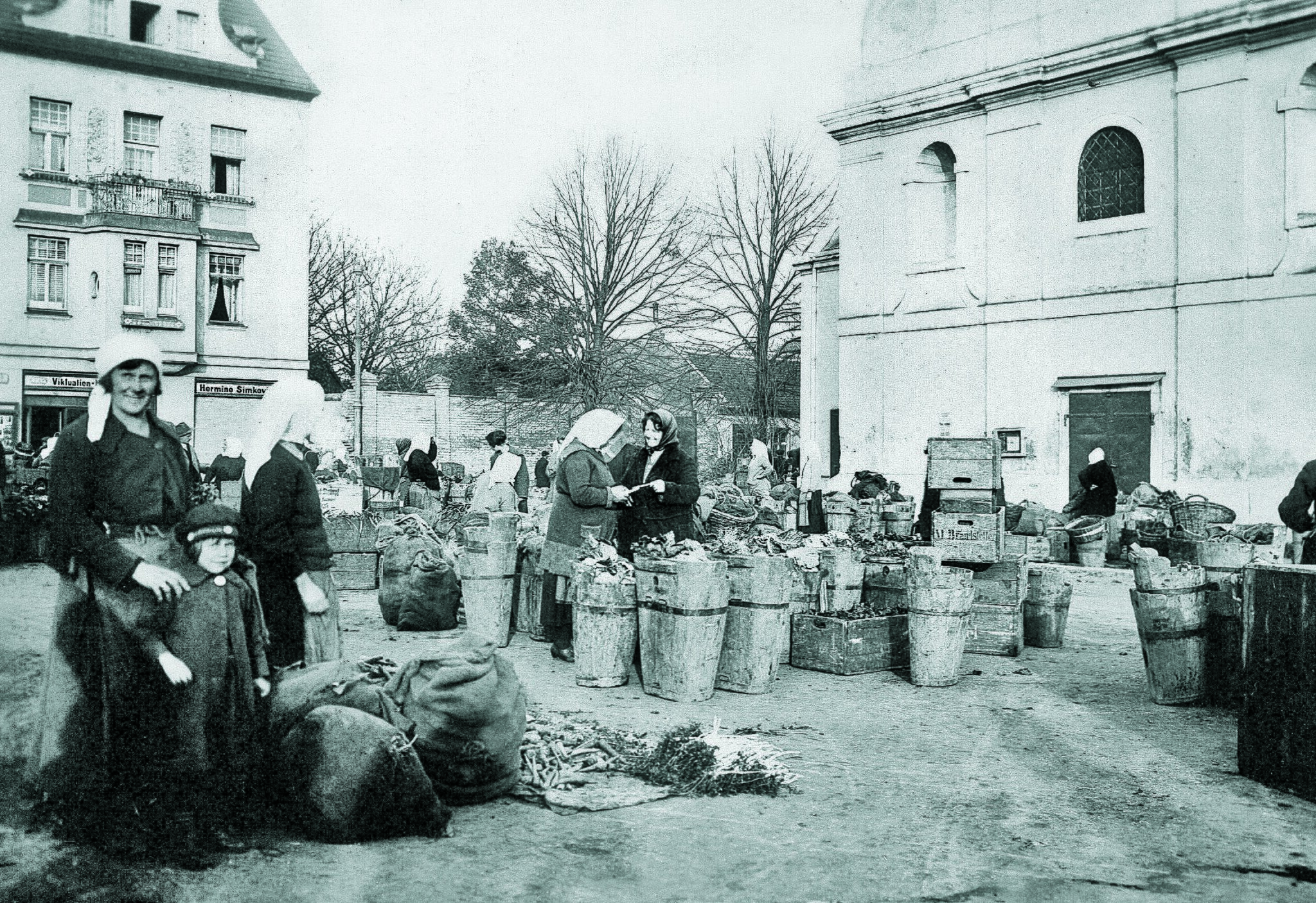 "Donaustädter Attraktionen": Transdanubien im Wandel - Donaustadt