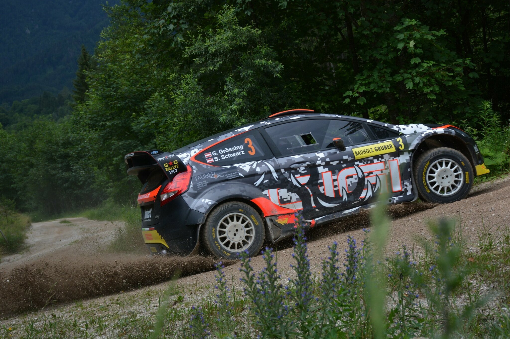 Staatsmeisterschaft: Red Stag Rallye - der Ablauf für den Renntag - St ...