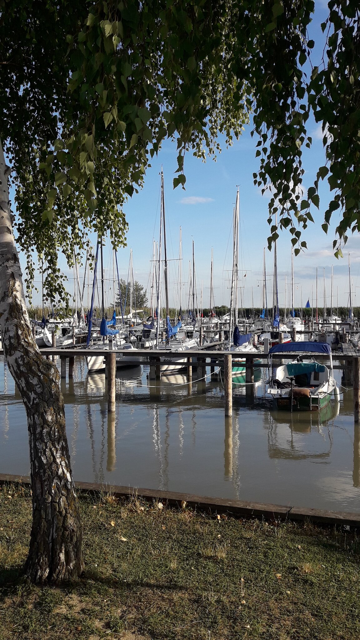 Breitenbrunn am Neusiedlersee: Abendstimmung im Seebad Breitenbrunn ...