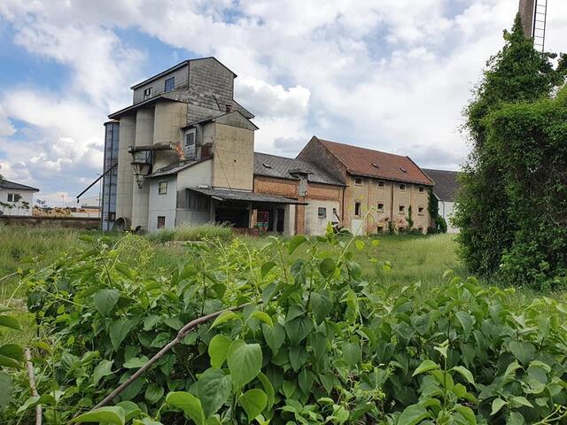 Himberg - Thema auf meinbezirk.at