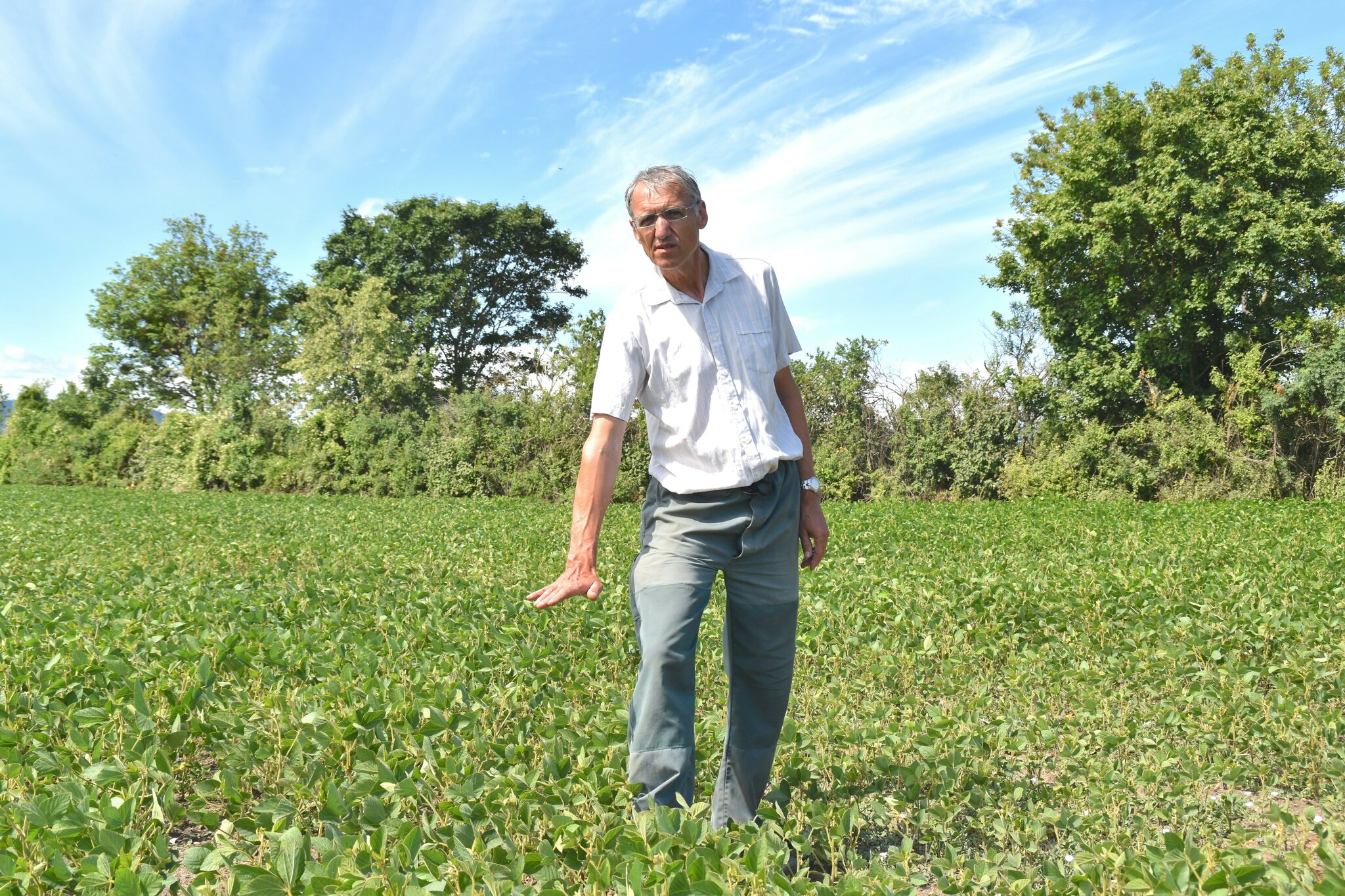Bezirk Mödling: Trockenheit macht Bauern zu schaffen (mit Video) - Mödling