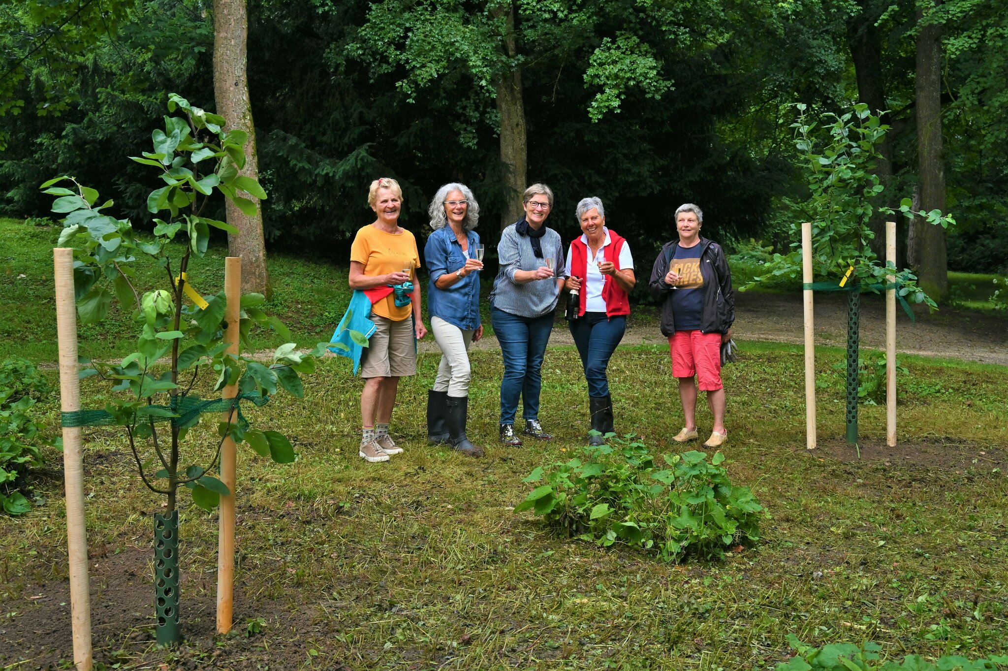 Der historische Kurpark in Bad Hall erhielt Zuwachs: „Bad Haller ...