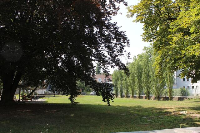 Neues Leben im ,,Taggerwerk" Graz! - Graz