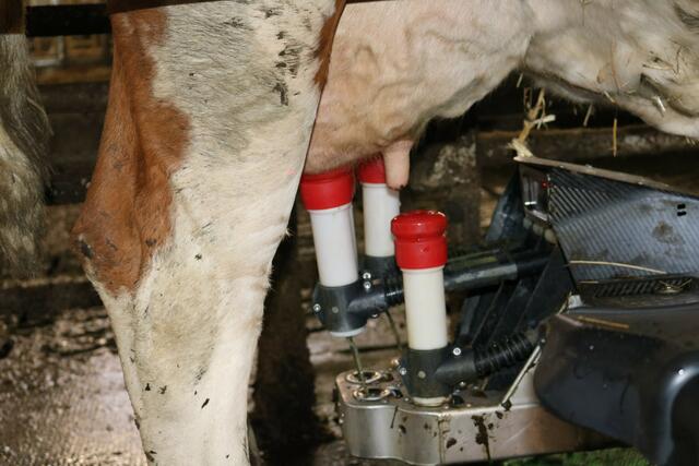 Reportage über fortschrittliche Landwirtschaft: Beim Sinnhubbauern in ...