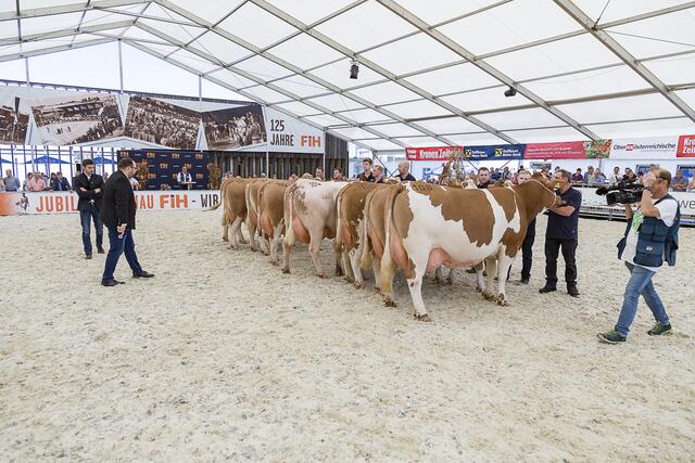 Rieder Messe & Volksfest: Rund 500 Aussteller präsentieren sich am ...