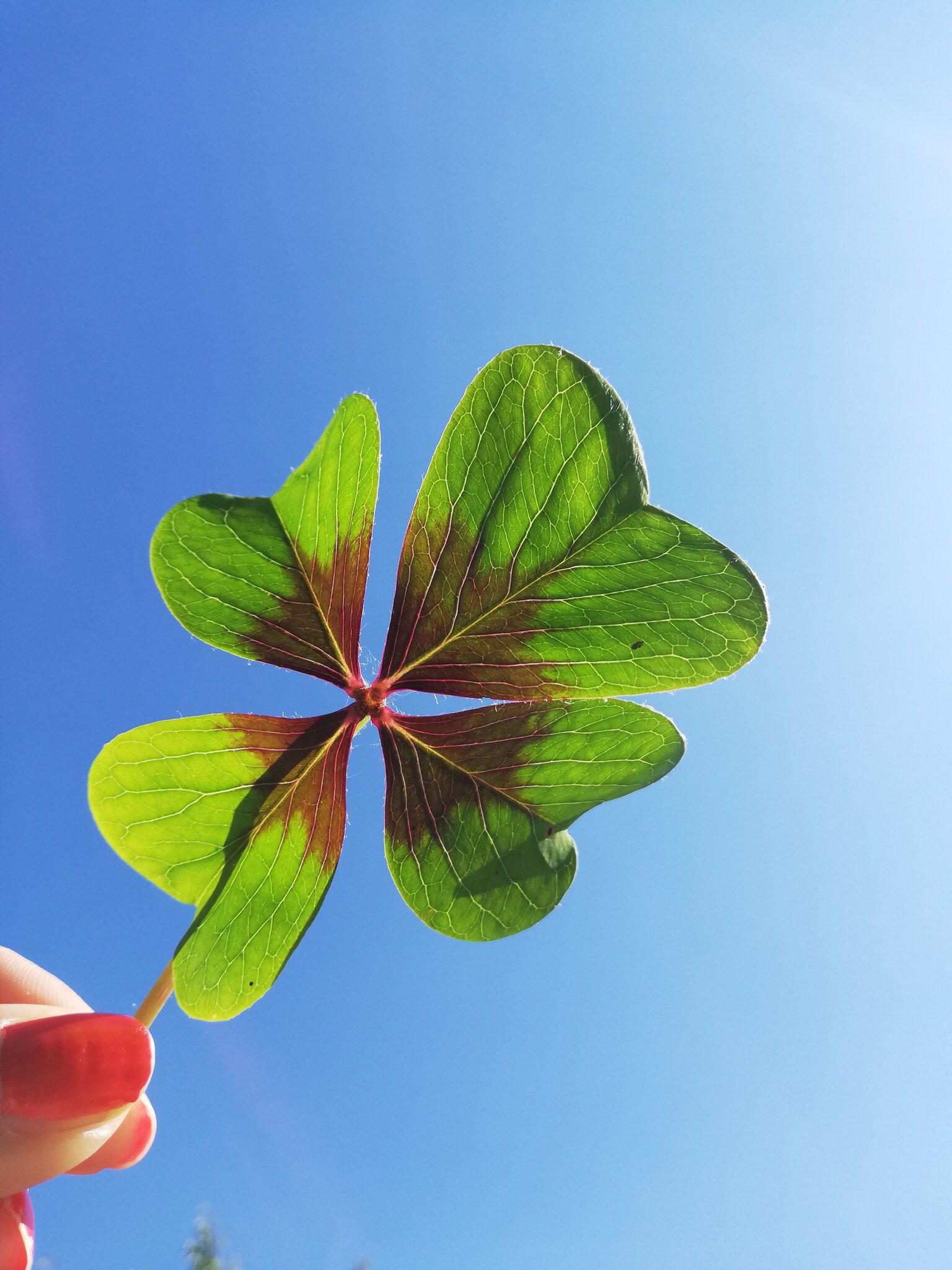 Gedanken über das Glück: Glück, Glücksgefühle und Lebensglück - Jennersdorf