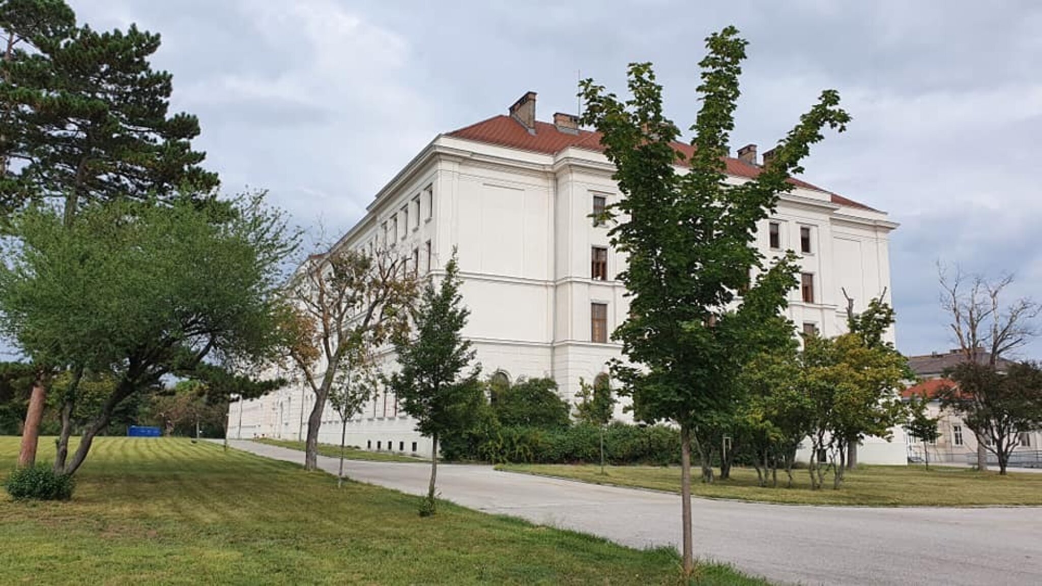 Corona-Alarm im Lager Traiskirchen:...: Bereits 110 Infizierte im ...