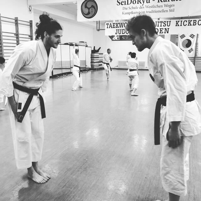 Interview über Seidoryu-Karate: Großmeister KoDo und die weise Liebe ...