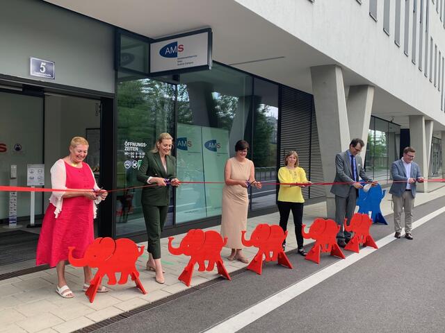 Persönlich zur Arbeitsplatz-Suche: AMS eröffnet wieder alle ...