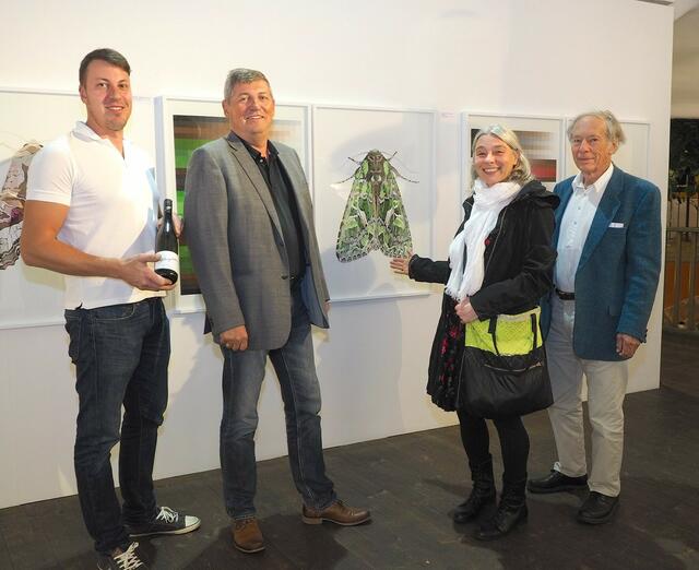 Stadt Krems: Nachtfalter im Kamptal - Krems