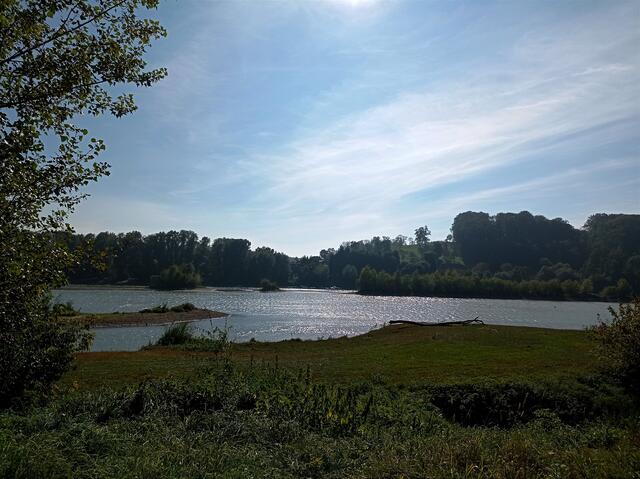 Mein Mostviertel - meine Heimat: "Der Donaualtarmweg in Wallsee ...
