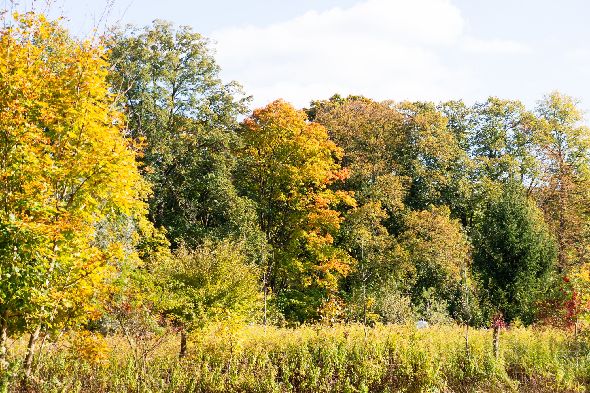 Ein Nachmittagsspaziergang durch die herbstliche Stockerauer Au ...