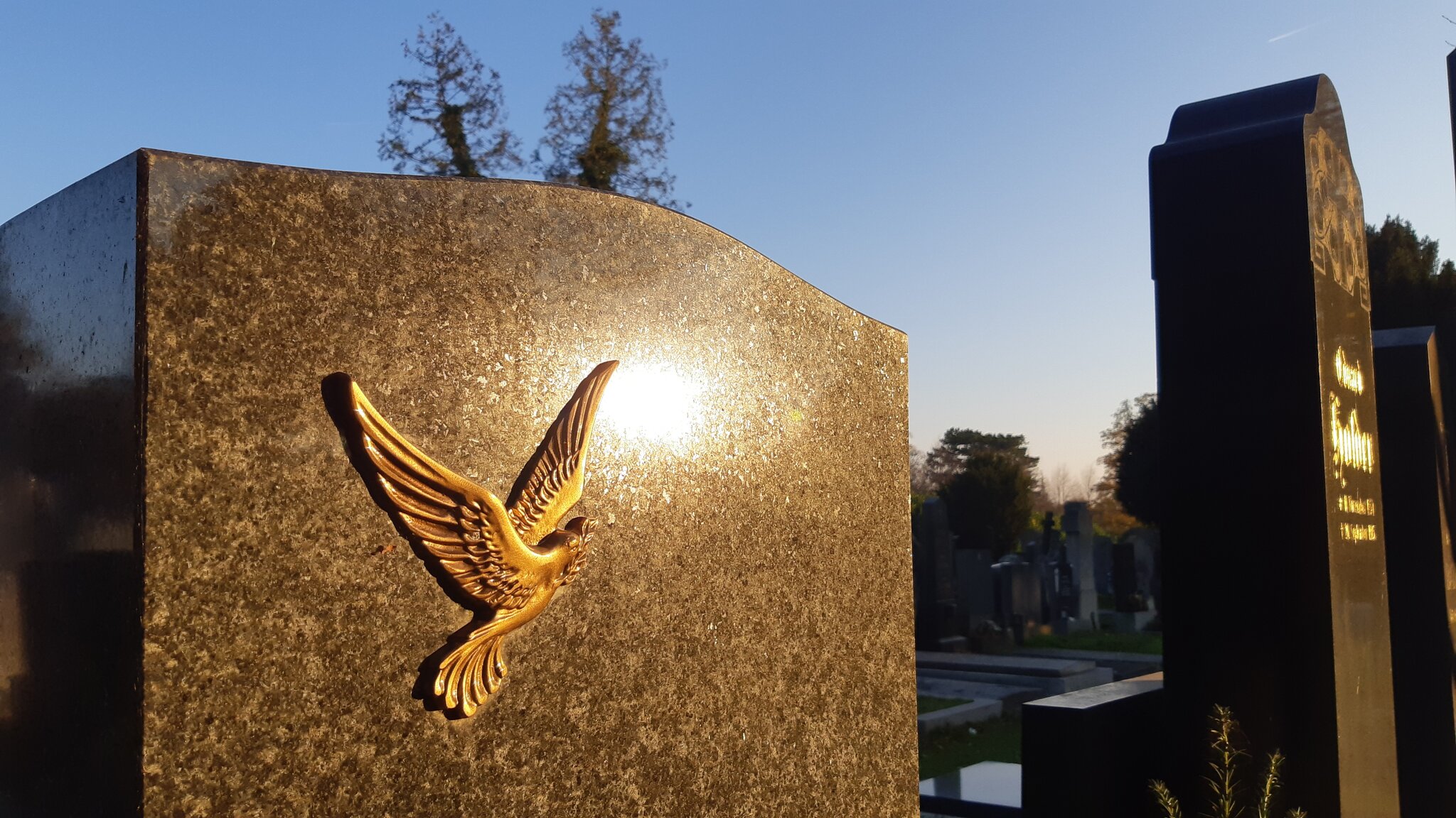 Begräbnisstätte seit 1904: (Foto)Streifzug über den evangelischen ...