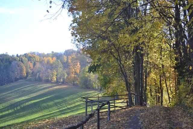 Wandern in den Wiener Alpen: Raach am Hochgebirge und kleine ...