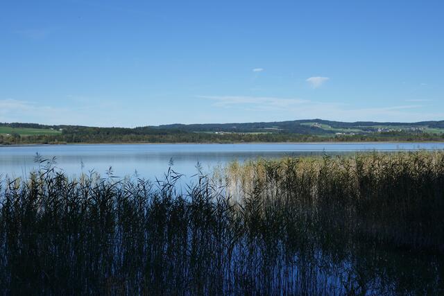 Bergauf & Bergab: Wanderung rund um den Wallersee - Salzburg