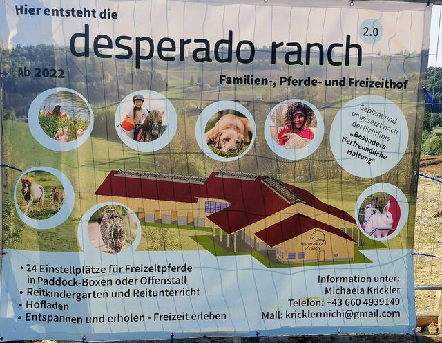 Reiten: Desperado Ranch - "Liebe auf den ersten Blick" - Graz-Umgebung
