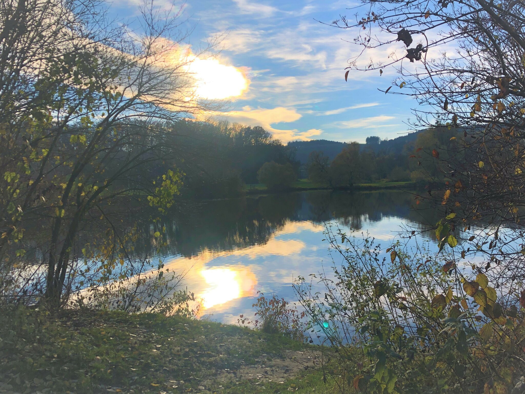 Herbst am Stausee Altmannsdorf: Herbst am Stausse Altmannsdorf - Schärding