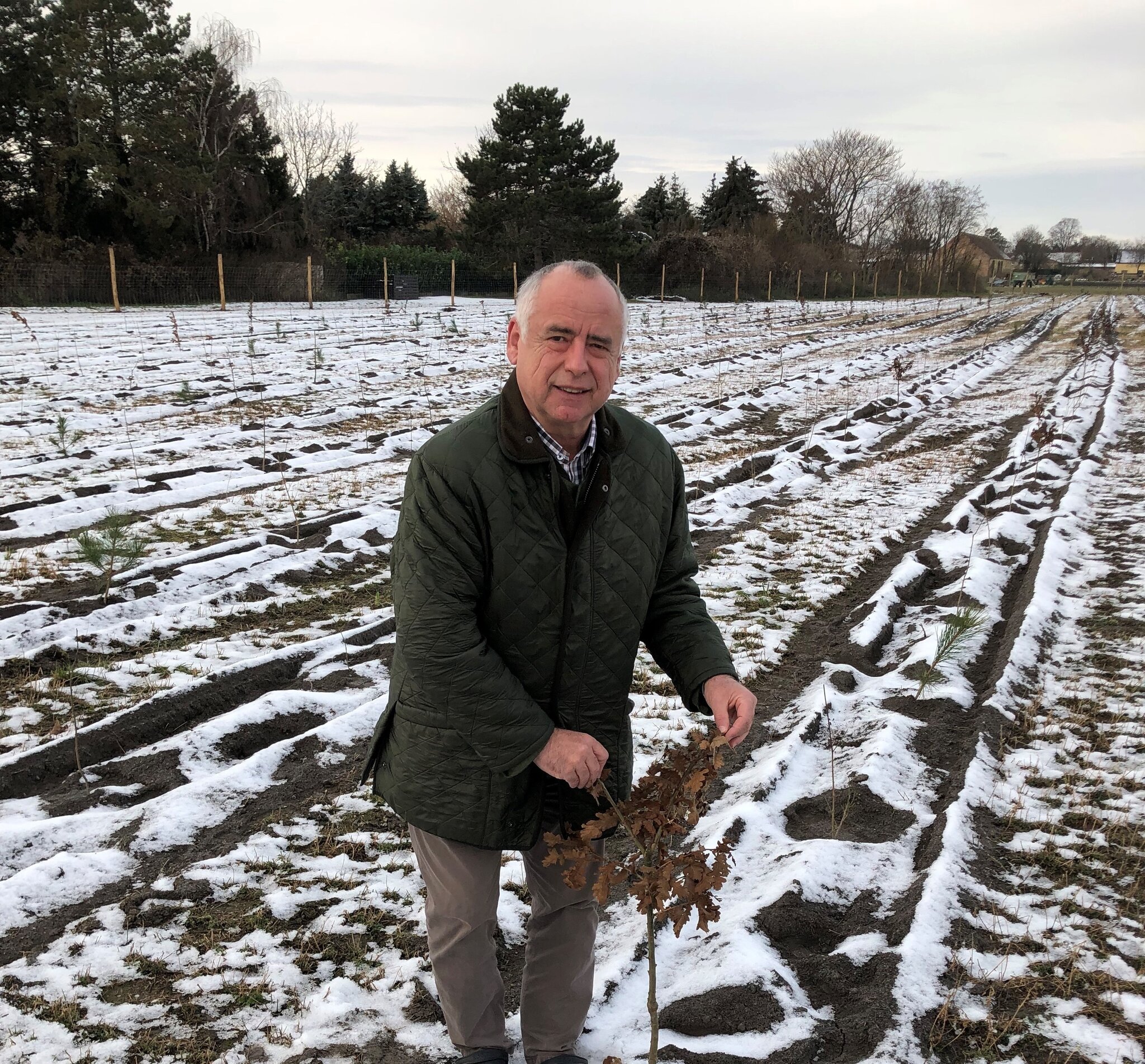 Aufforstung: Tausend Bäume für Haringsee - Gänserndorf