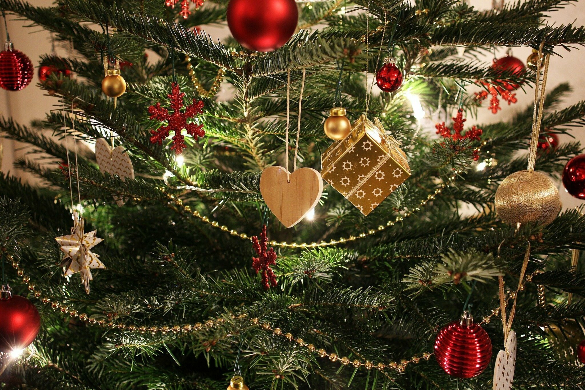 NÖ vor Steiermark und OÖ: Woher in Österreich die Christbäume kommen