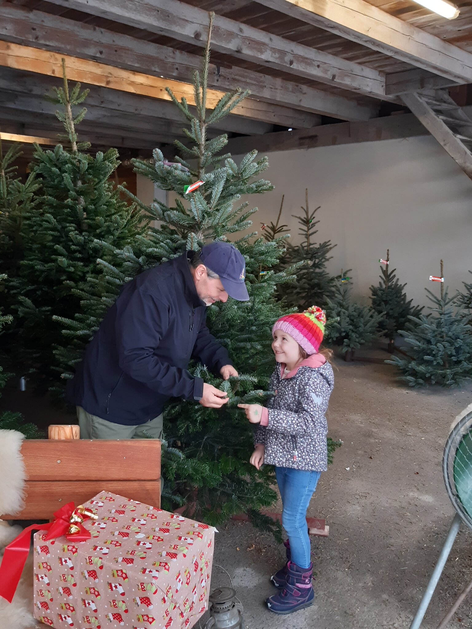 Daniel Heindl's Instagram, Twitter & Facebook on IDCrawl